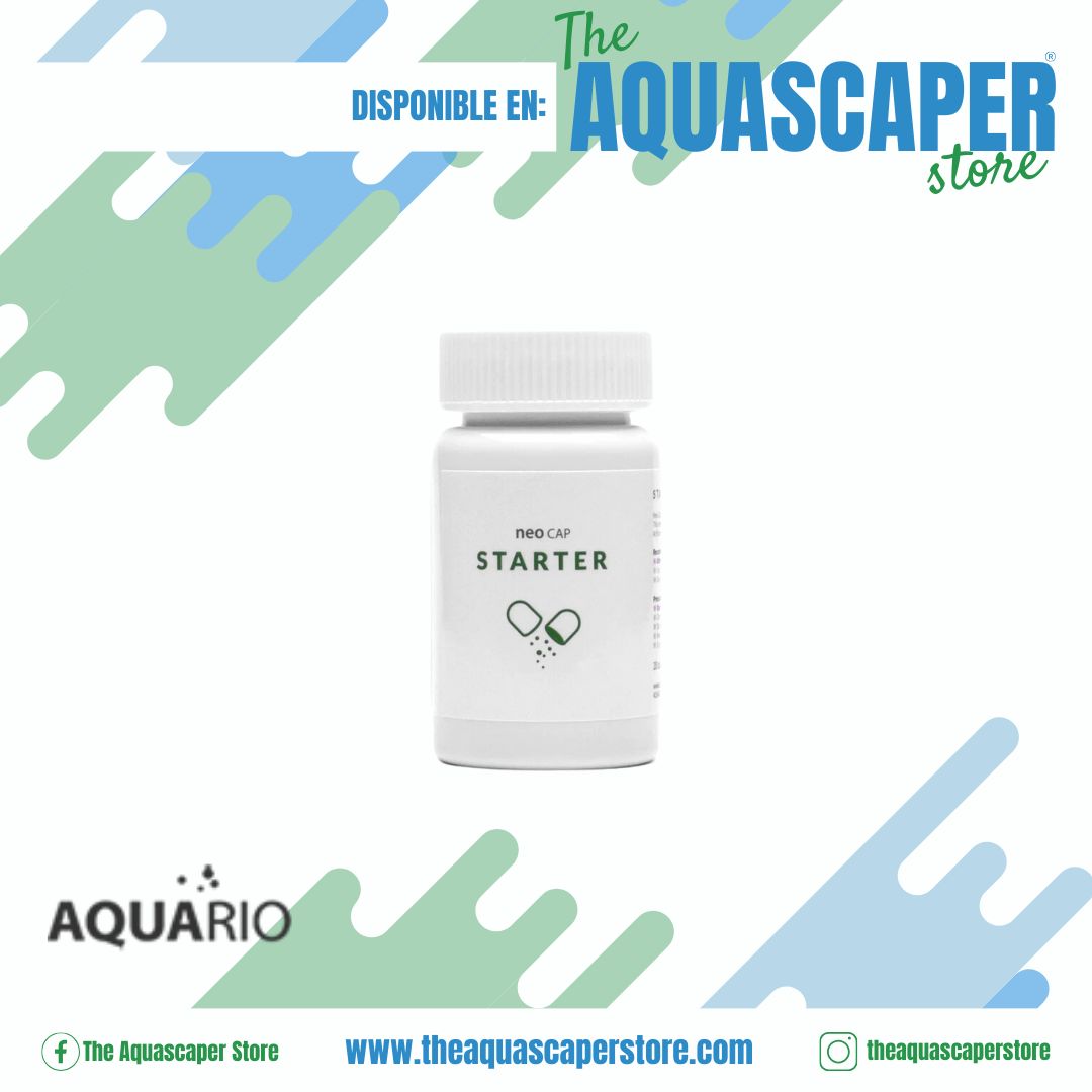 Neo Cap Starter – The Aquascaper Store