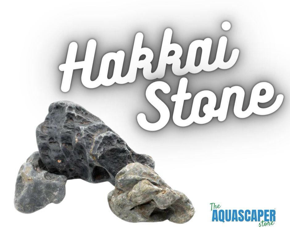 Hakkai Stone – The Aquascaper Store
